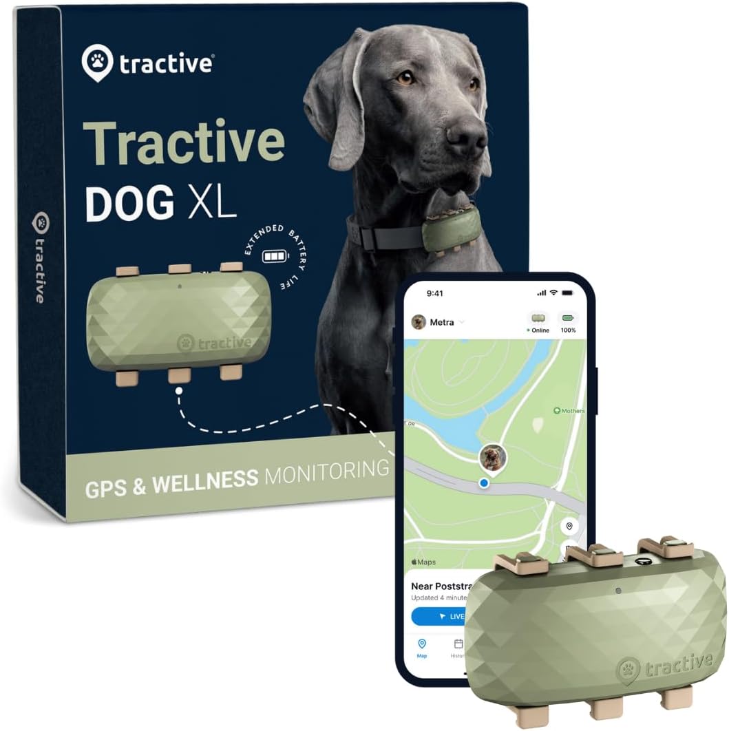 Top 5 Best GPS Trackers for Dogs & Cats – 5 Best Compared